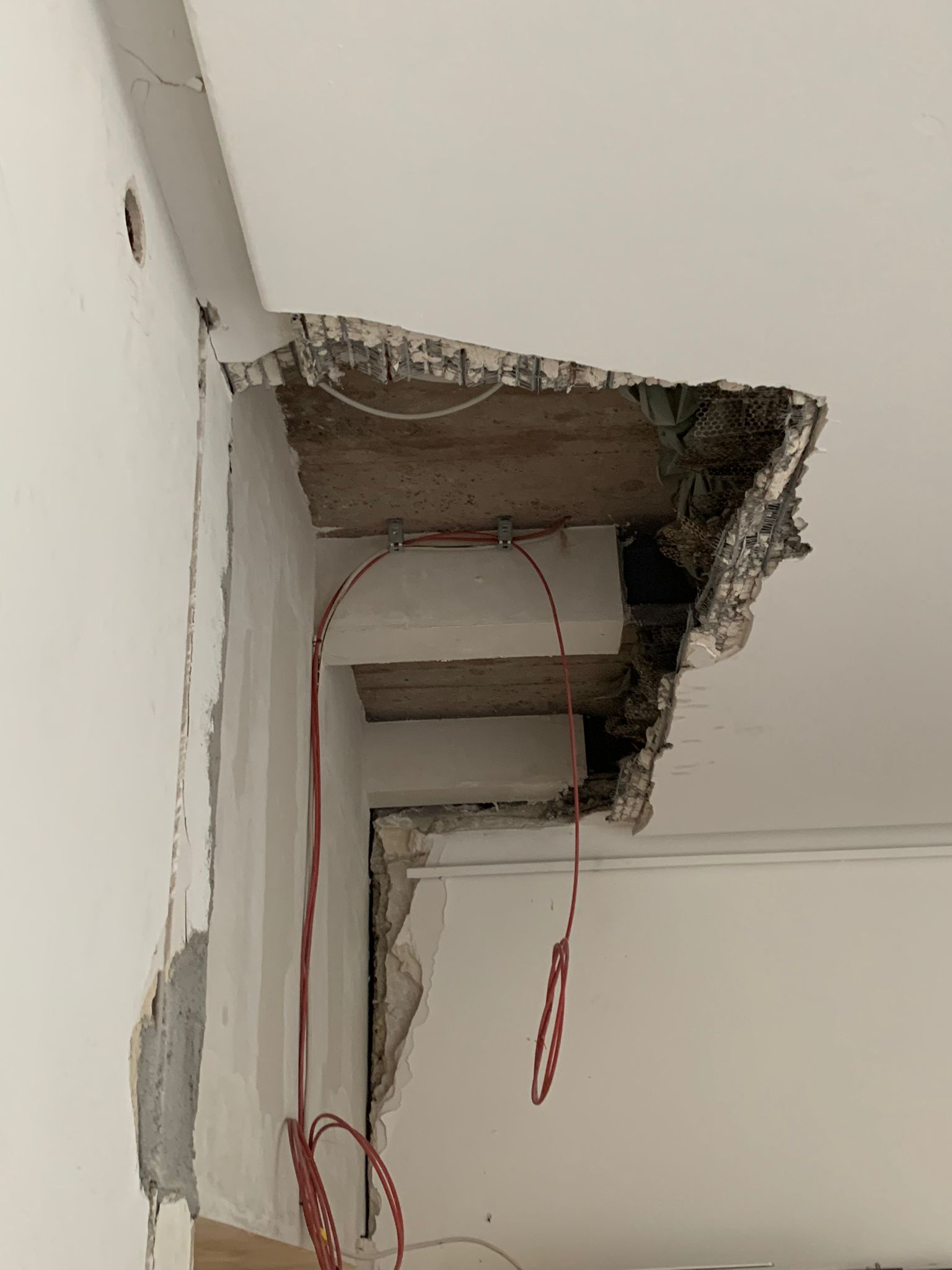 Instandsetzung einer denkmalgeschützten Abhangdrahtputzdecke ...
