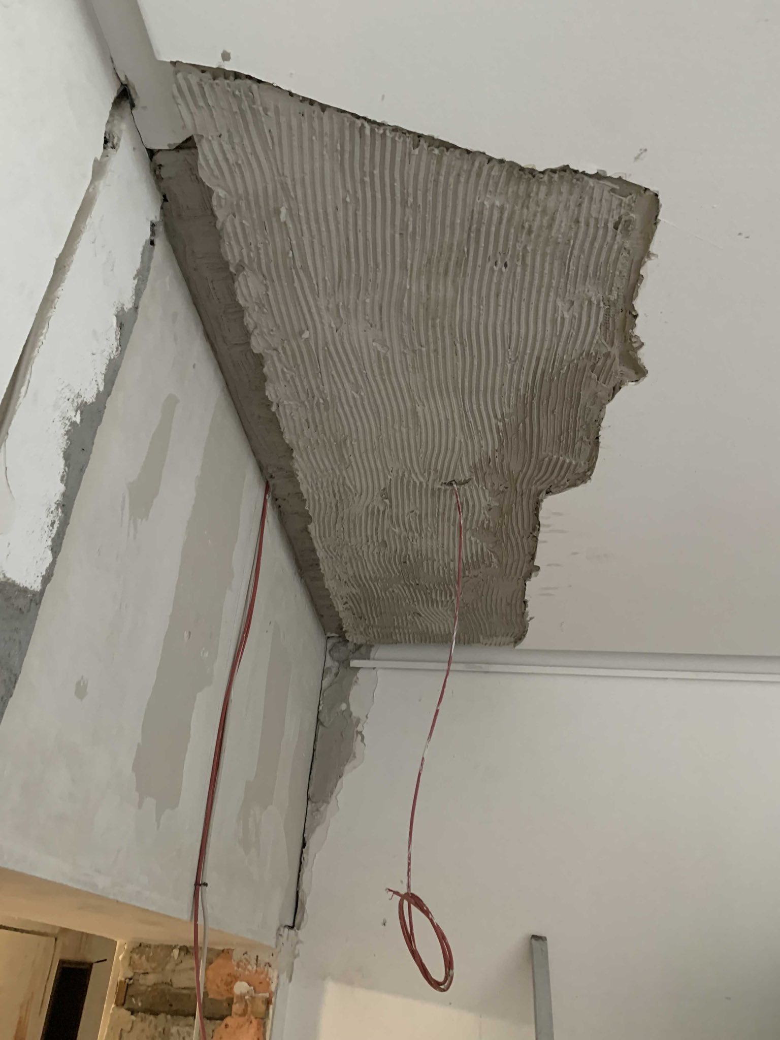 Instandsetzung einer denkmalgeschützten Abhangdrahtputzdecke ...
